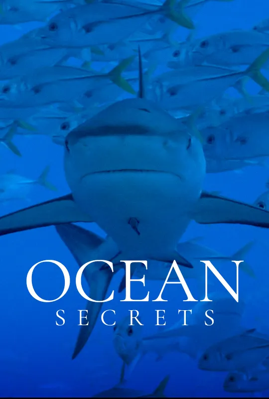 Ocean Secrets | VIPA